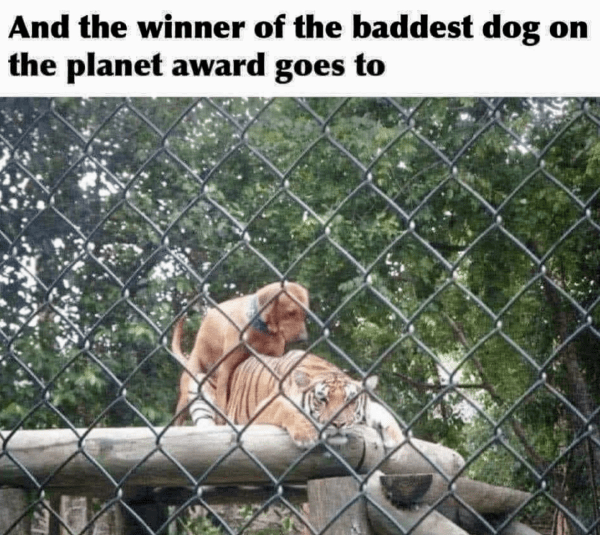 PG-13 Memes for Dirty Minded Near R-rated Pictures SFW funny Captions