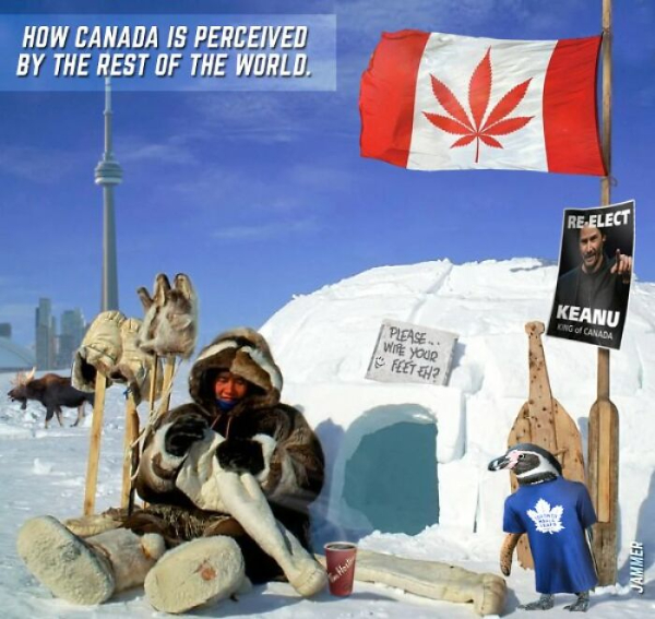 Canadian Memes I Politely Ask You To Laugh At