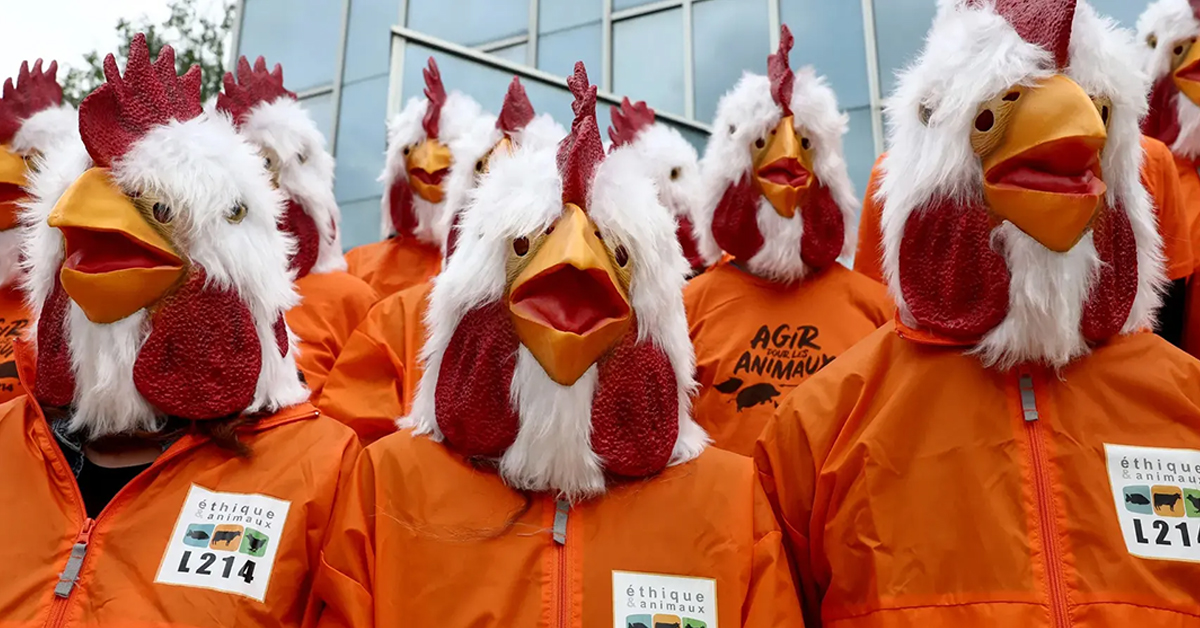 theCHIVE - Funny Pictures, Photos, Memes & Videos – theCHIVE.com