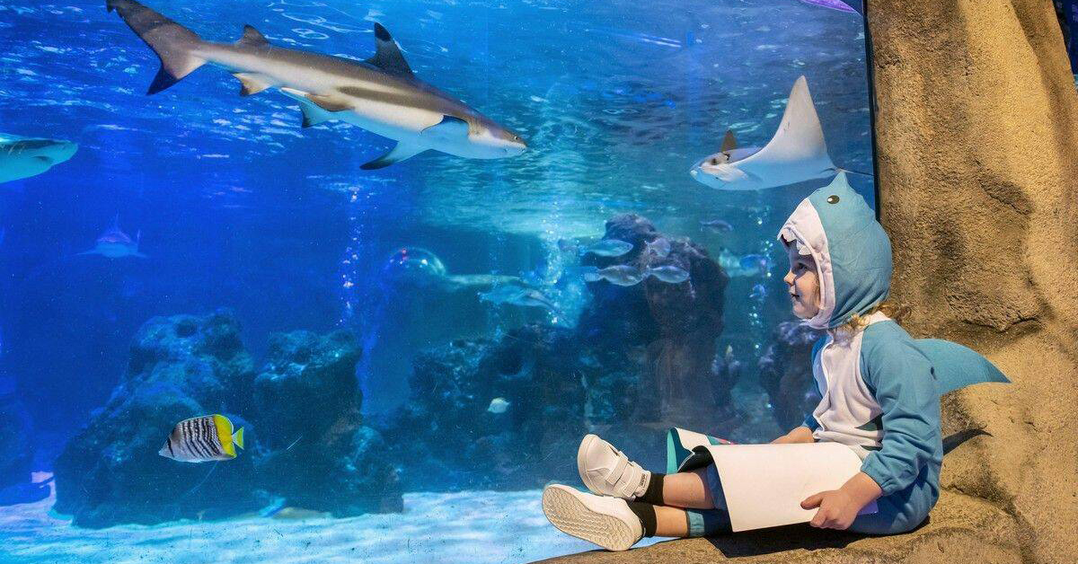 Daily Morning Awesomeness | Awesome Morning Pics, Gifs & More - theCHIVE