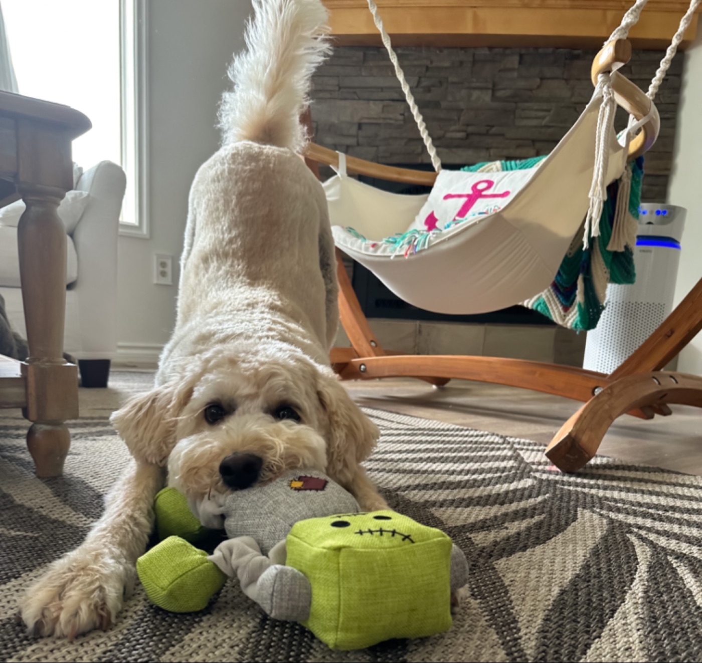 The Dogs Are Out and I’m Lovin’ It