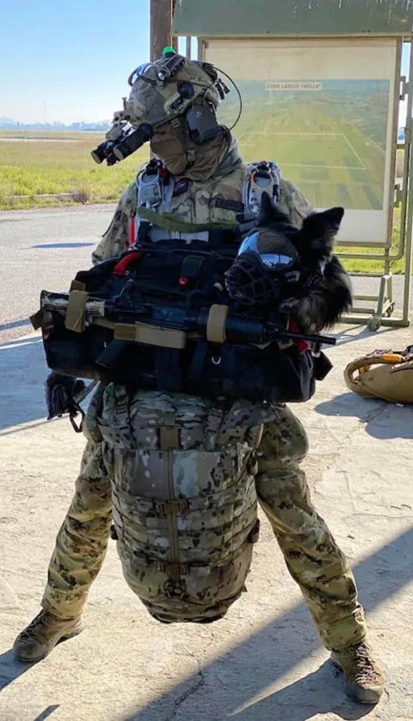 Beautiful Military Girls and Funny Misfit Chivers Who Serve Photos