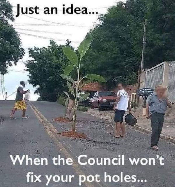 Freshly planted memes for all you gardeners out there