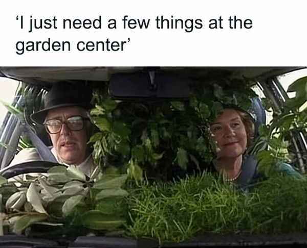 Freshly planted memes for all you gardeners out there