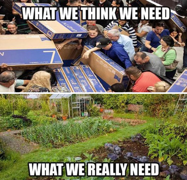 Freshly planted memes for all you gardeners out there