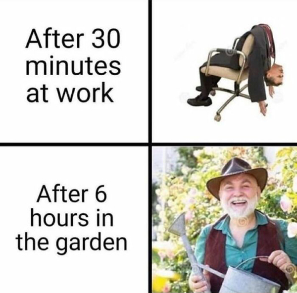 Freshly planted memes for all you gardeners out there