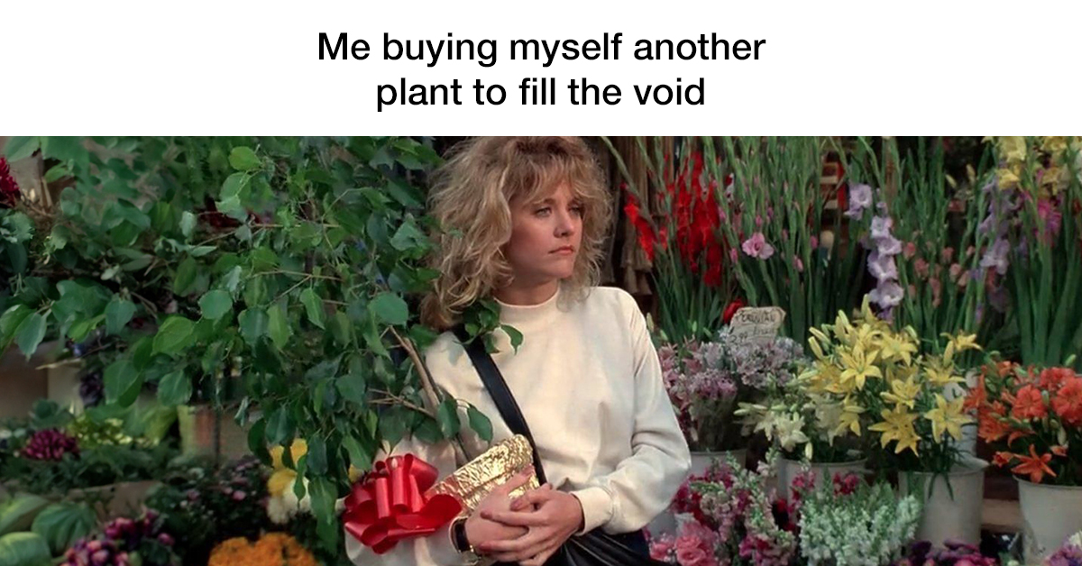 Freshly planted memes for all you gardeners out there