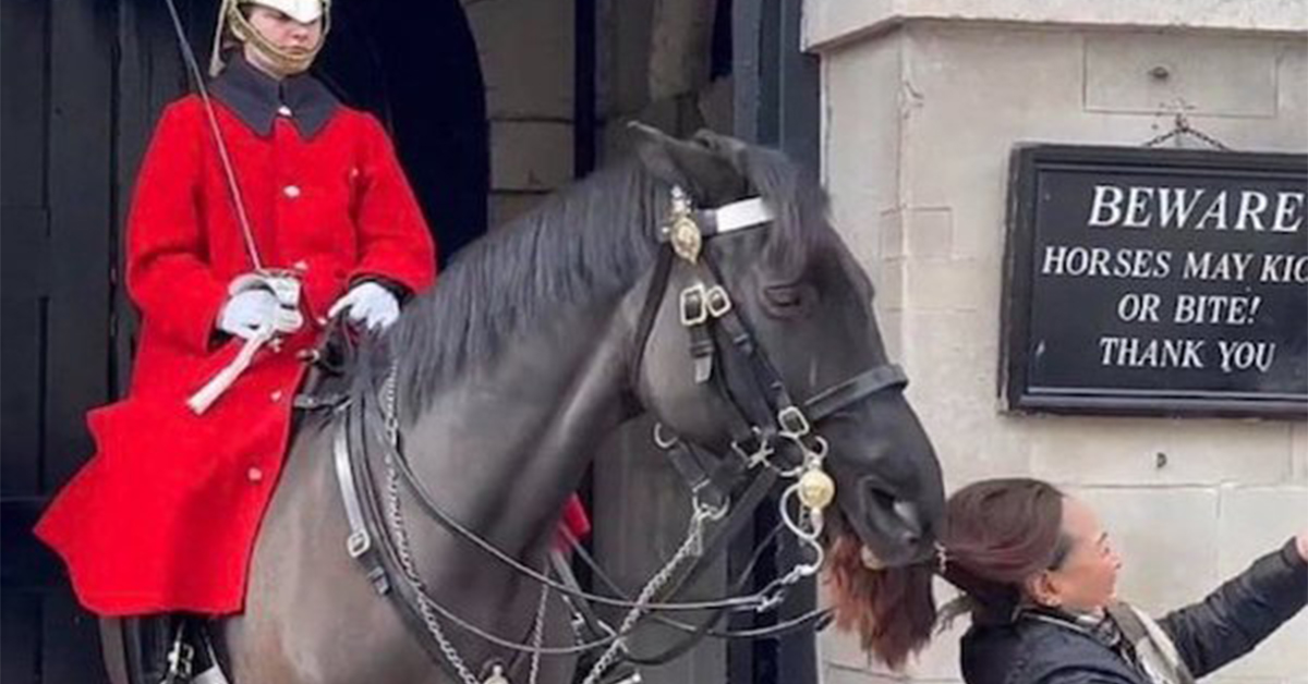 DAR: Daily Afternoon Randomness - Cool Pics :theCHIVE