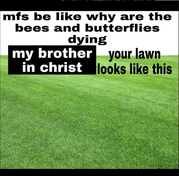 Suburban Memes for Suburban Peeps