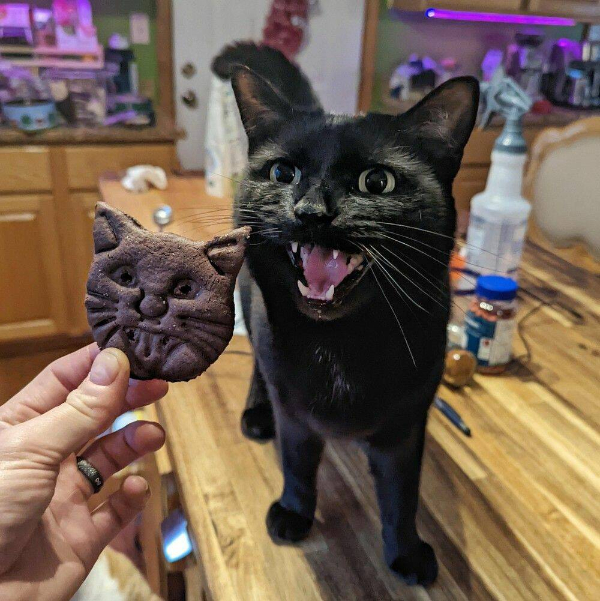 Cat Saturday Starts Right Meow