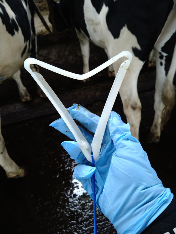 A Hefty Handful of Every Day Awesome