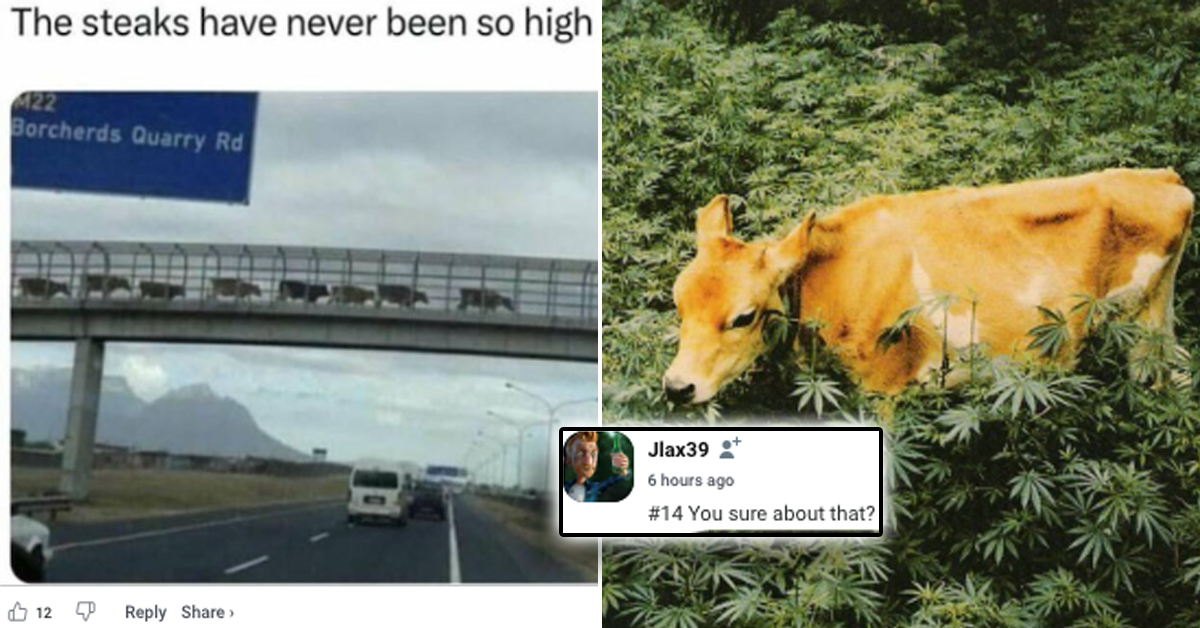 Hilarious comments straight from theCHIVE this week