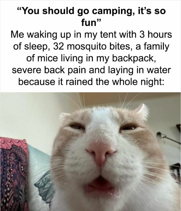 Put These Travel Memes in Your Passport