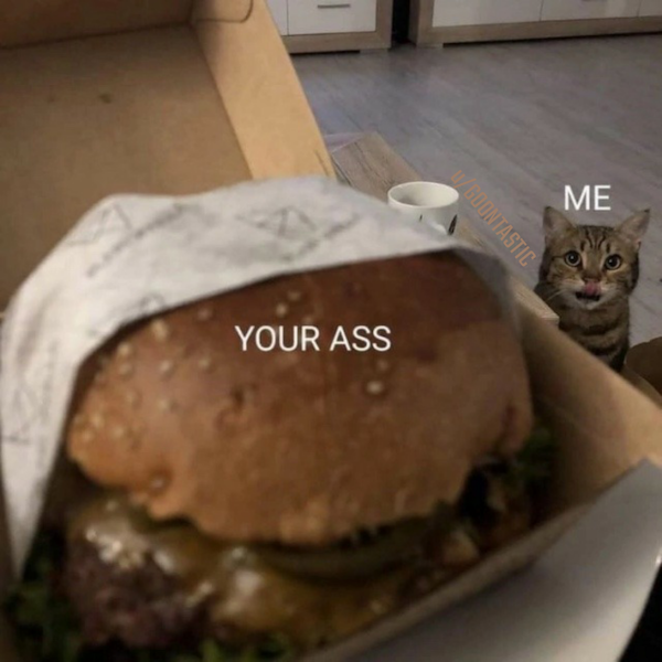 NSFW Memes to satiate all you little sinners out there