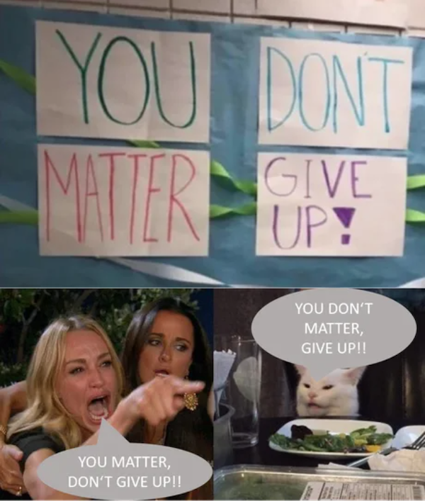 Beer-a-FULL Memes Funny Drinking Friday Pics Stupid Wis-DUMB Thoughts