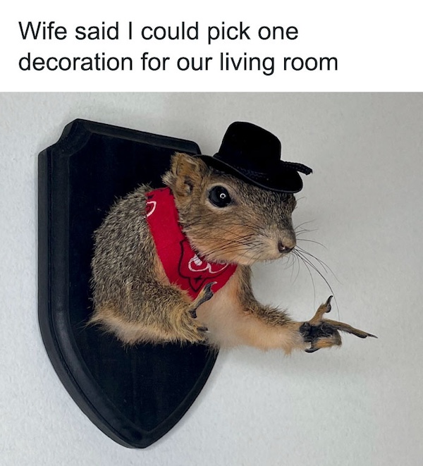 Desirable things we all wish we had in our lives