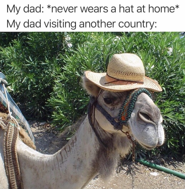 Cheesy Memes Funny Tuesday Morning Best New Work Sucks Photo Captions