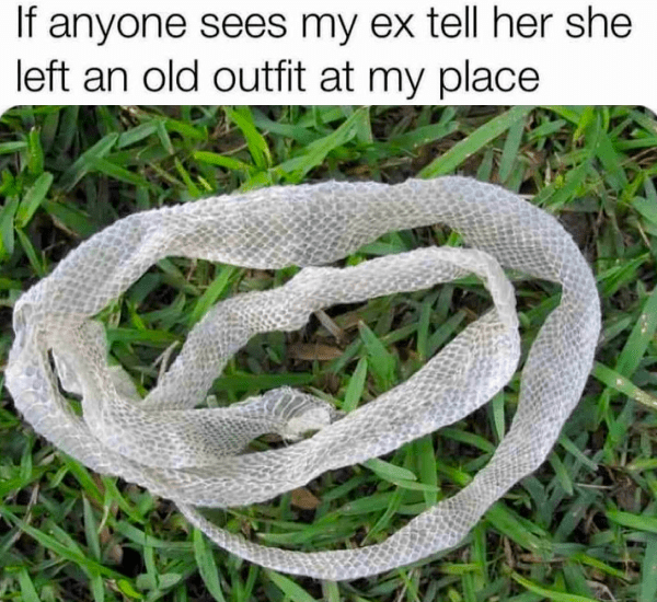 Cheesy Memes Funny Tuesday Morning Sucks Best New Work Photo Captions