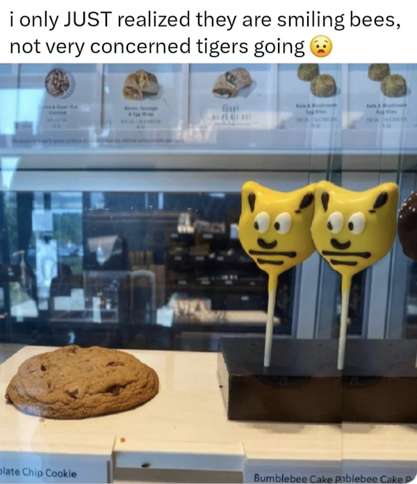 Cheesy Memes Funny Tuesday Morning Sucks Best New Work Photo Captions