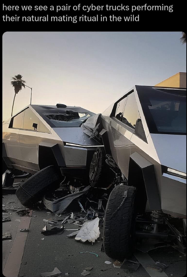 Cheesy Memes Funny Morning Work Sucks Photo Captions Best List 2024