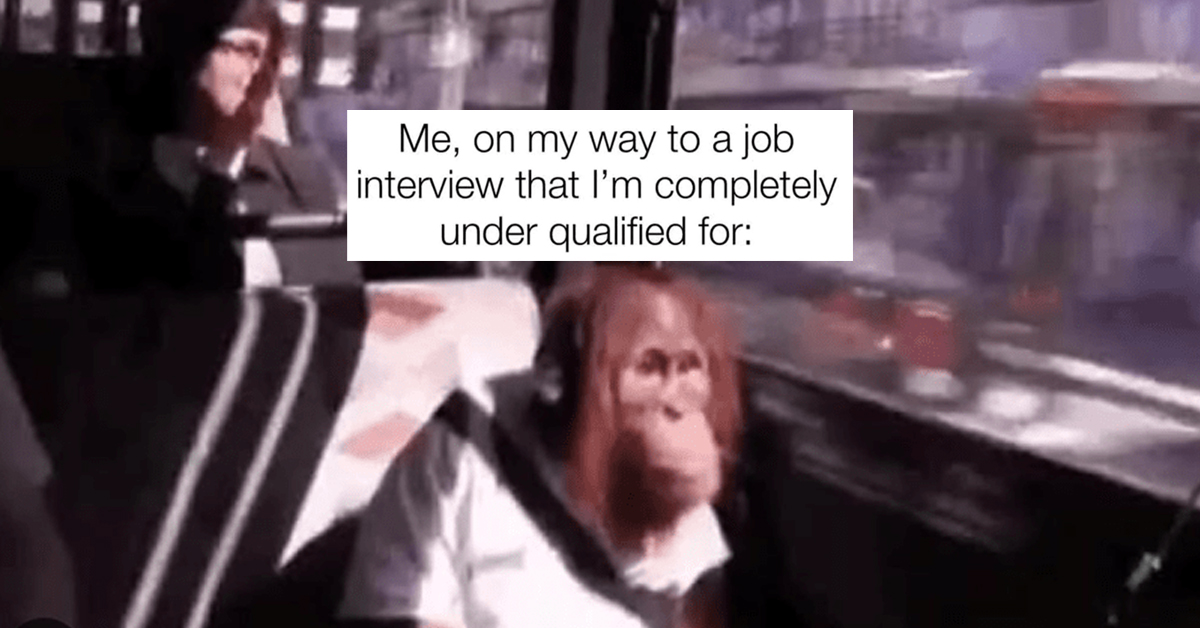 Daily Humor | Funny Videos, Pictures, Memes & Clips – theCHIVE