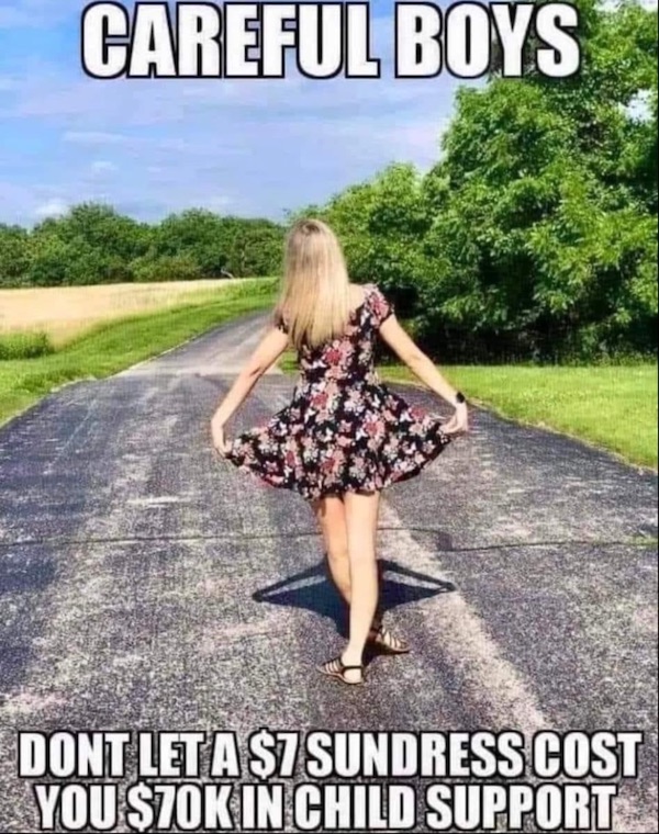 Mind-LESS Memes Best Stupid Funny Logic Photo Captions 2024