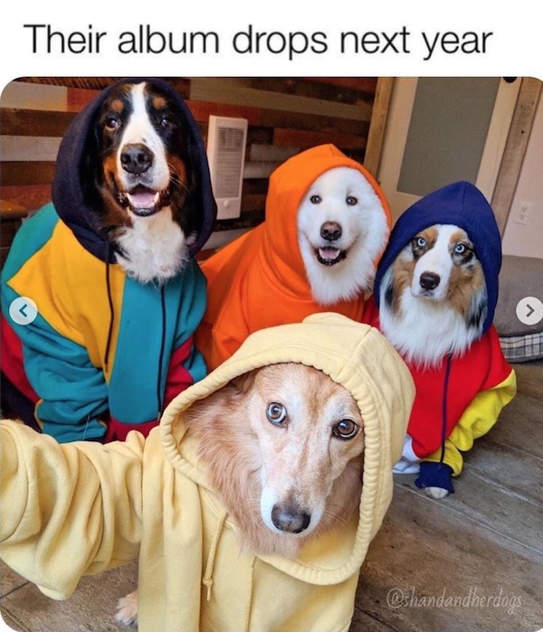 Mind-LESS Meme Best Stupid Funny Logic Photo Captions 2024 New Picture