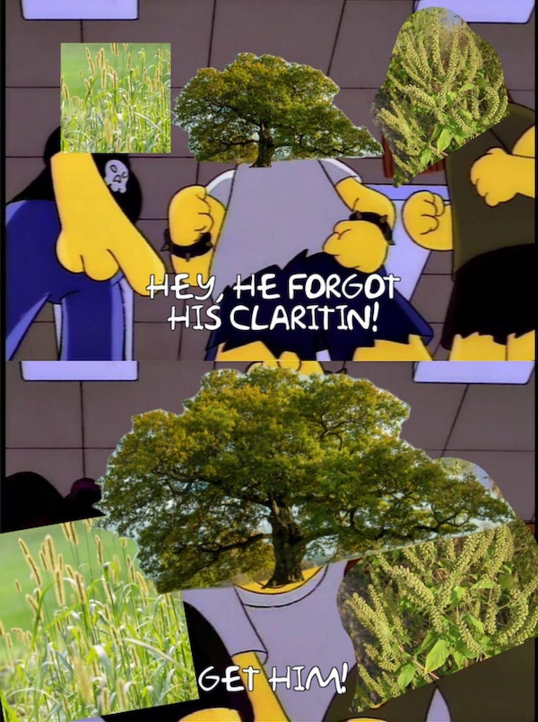 Slanke Memes