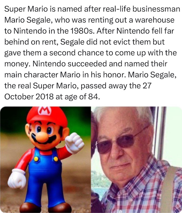 Mind-LESS Meme Best Stupid Funny Logic Photo Captions 2024 New Picture