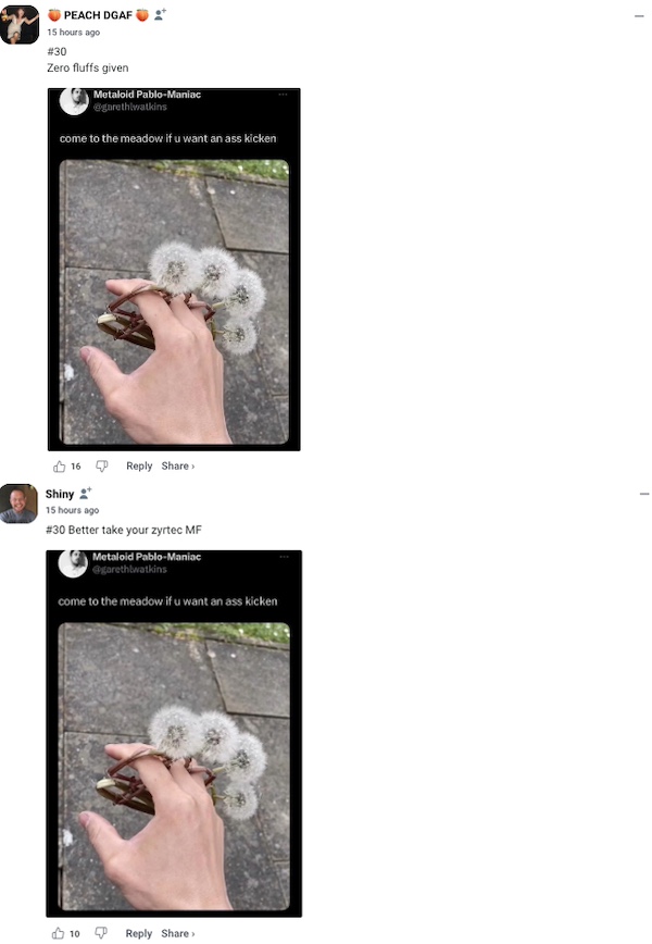 Top commenets from the funniest minds found on the web