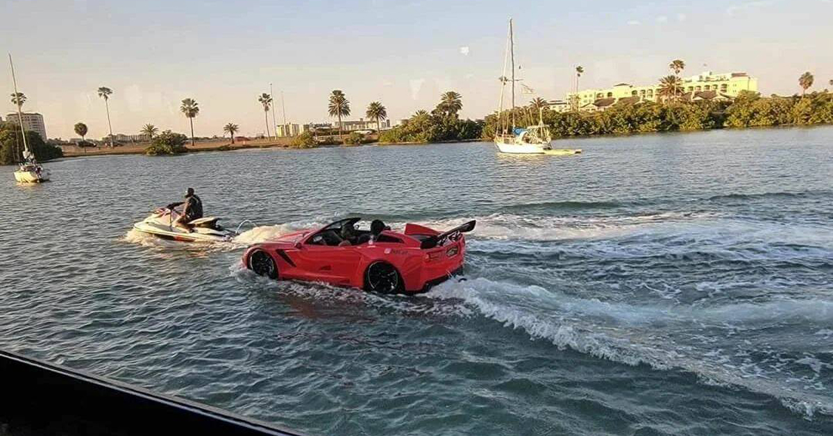 Daily Morning Awesomeness | Awesome Morning Pics, Gifs & More - theCHIVE