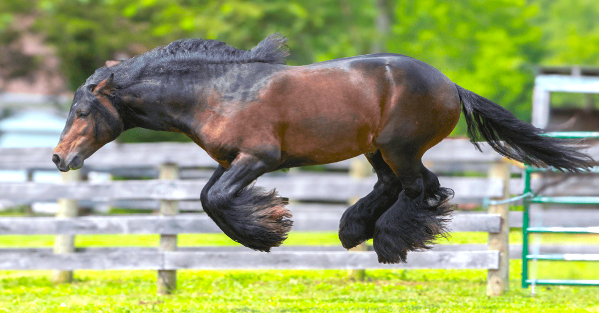 DAR: Daily Afternoon Randomness - Cool Pics :theCHIVE