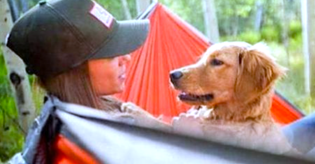 DAR: Daily Afternoon Randomness - Cool Pics :theCHIVE