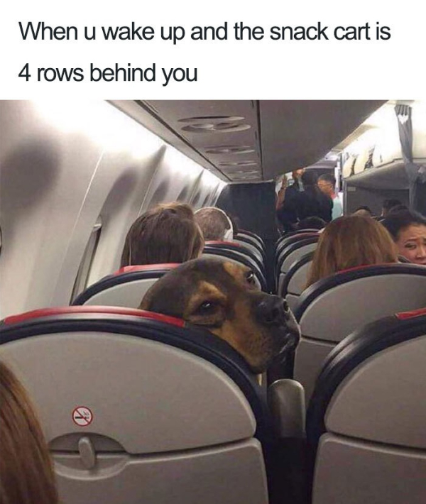 Put These Travel Memes in Your Passport