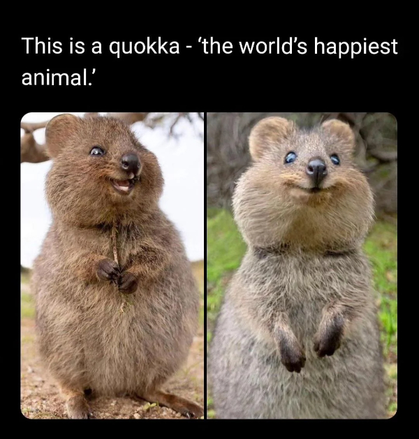 Let’s Bring a Smile to Your Heart