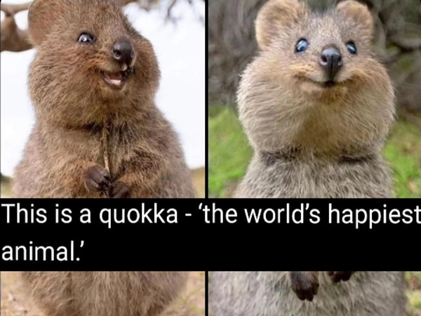 Let’s Bring a Smile to Your Heart