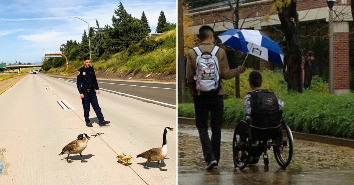 Beautiful Pictures | Pretty Pics - theCHIVE