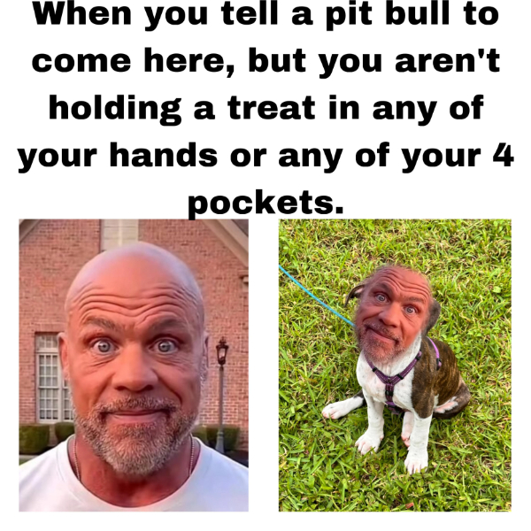 Enjoy Some Dank Dank Dank Memes