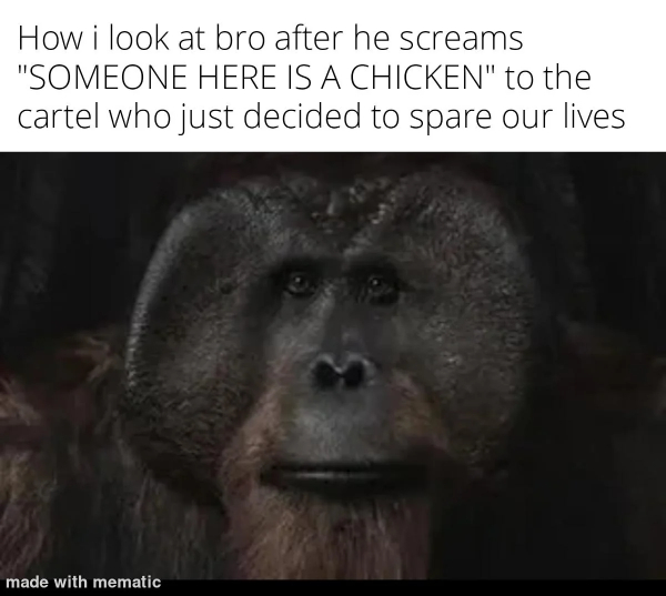 A Dank Meme a Day Keeps the Blues Away