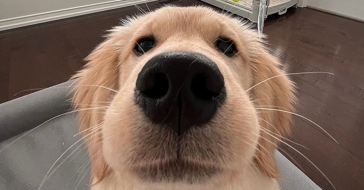 DAR: Daily Afternoon Randomness - Cool Pics :theCHIVE