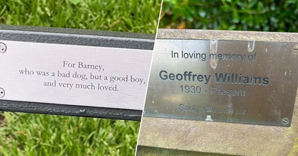 Funny & heartwarming bench plaques have me in a glass case of emotion