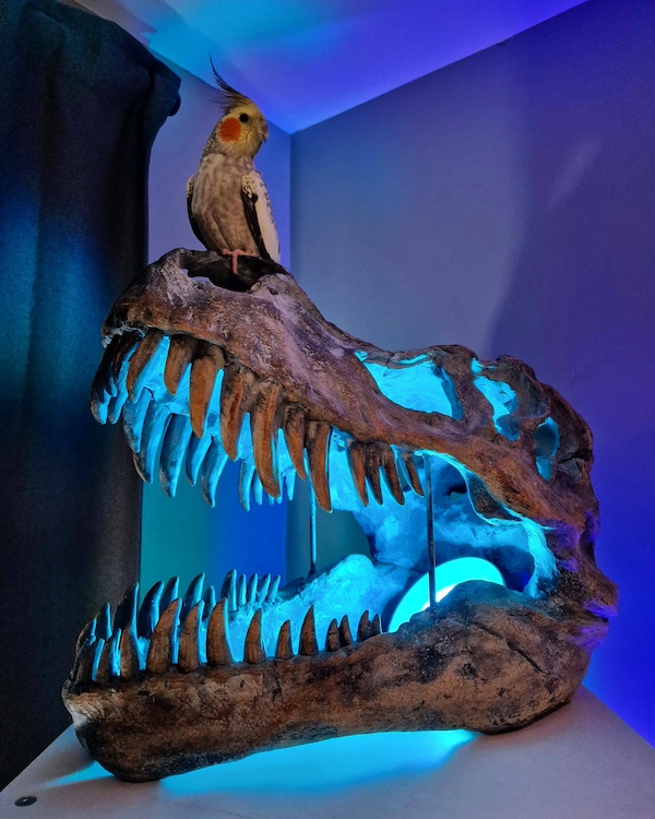 Desirable things we all wish we had in our lives