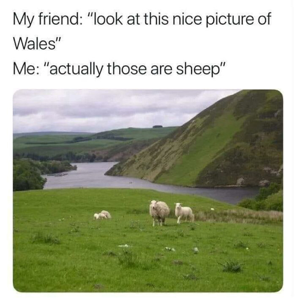 A pun a day will keep the doctor away, or something like that