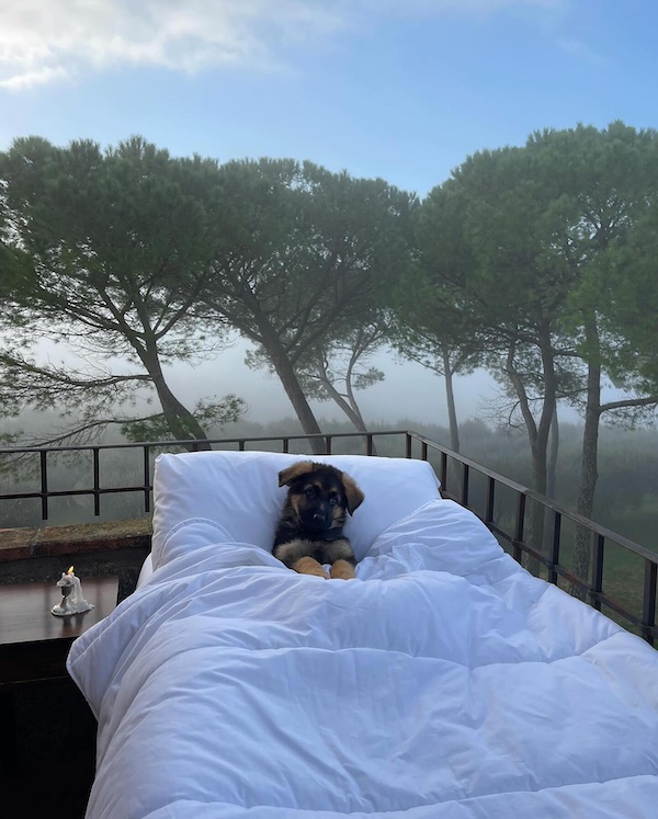 Desirable things we all wish we had in our lives