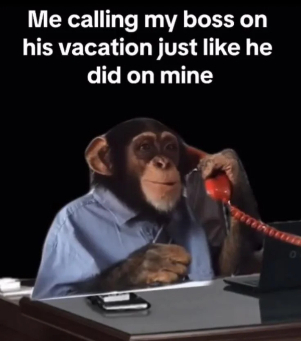 Take it Easy With the Dank Memes