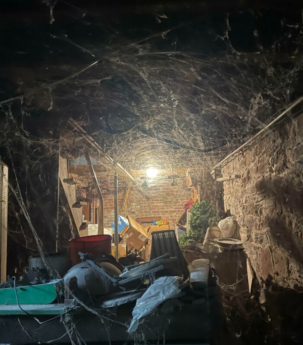 Creepy Basements Are Pure Nightmare Fuel