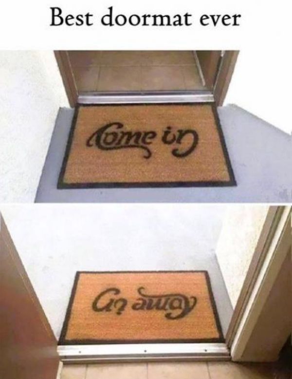 Beer-a-FULL Memes Funny Drinking Friday Pics Stupid Wis-DUMB Thoughts