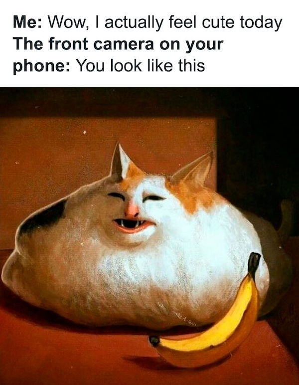 These aren't ordinary memes, they're works of art