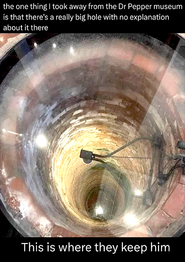 SPOT ON memes Funny Stupid Ideas Photo Captions of Dumb People Thought