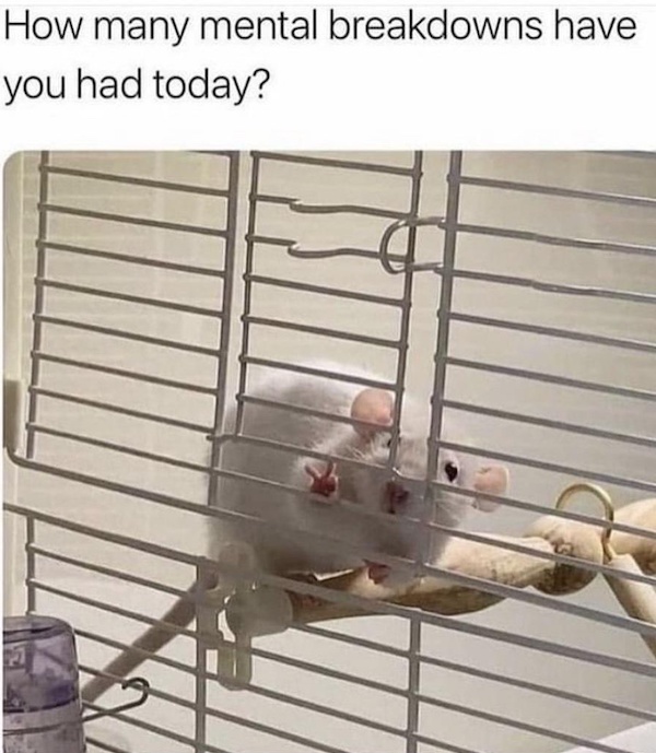 Memes of Stupid yet Funny Logic-LESS Humor for Tuesday Sucks Afternoon